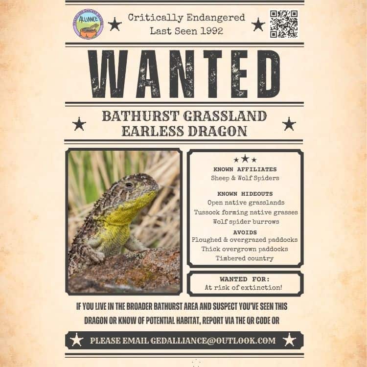 Home - Grassland Earless Dragon Alliance